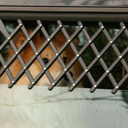 Car Window Vent Guard